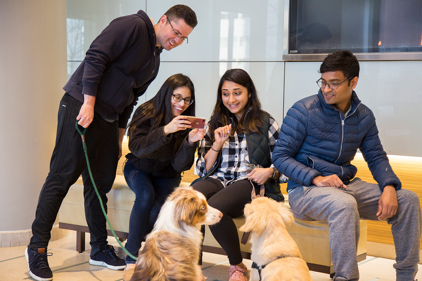 Pet Event Templates - Plan Memorable Pet-Friendly Events – Get Pet Friendly